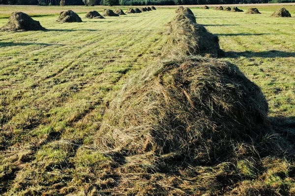 Hay stacks Stock Photos, Royalty Free Hay stacks Images | Depositphotos