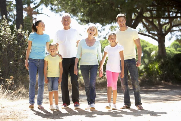 Three Generation Family Walking Together Stock Photo by ©monkeybusiness ...