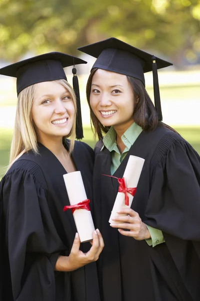 Graduation scroll Stock Photos, Royalty Free Graduation scroll Images ...