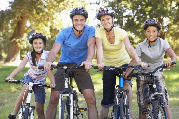 Black family riding bikes Stock Photos, Royalty Free Black family ...