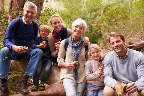 Multi-generation family eating in forest - Stock Image - Everypixel