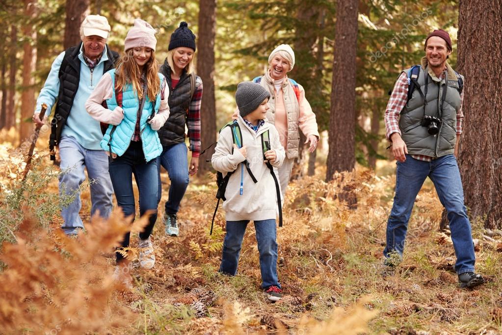Multi generation family hiking in a forest Stock Photo by ...
