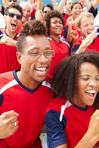 Spectators In Team Colors Watching Sports Event — Stock Photo ...