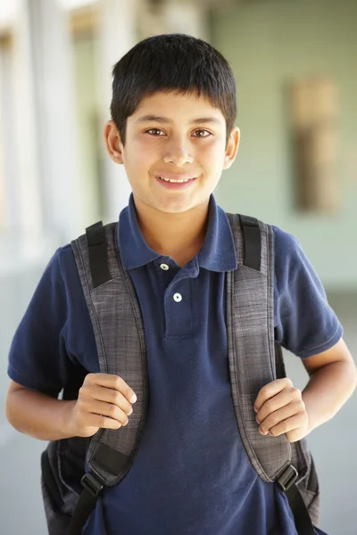 Pre school Stock Photos, Royalty Free Pre school Images | Depositphotos