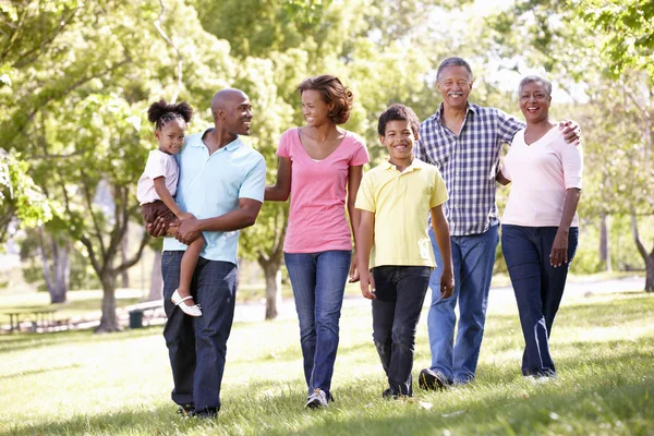 Multi-generation family walking - Stock Image - Everypixel