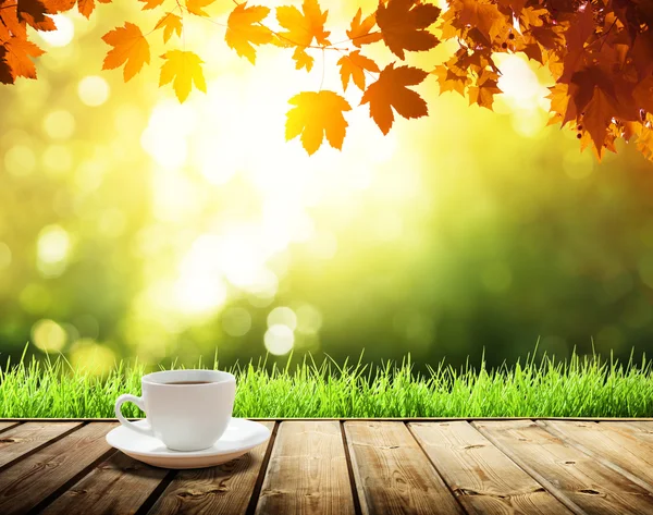 Cup coffee and sunny trees background Stock Photo by ©Iakov 53761391