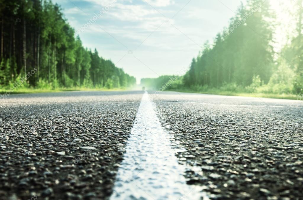 Road in sunny forest (shallow DOF) — Stock Photo © Iakov #71272879