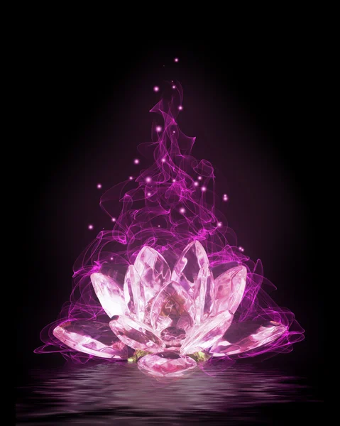 Magic lotus flower Stock Photos, Royalty Free Magic lotus flower Images ...