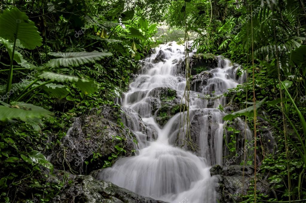 Tropical waterfall in the Mexican rainforest — Stock Photo © moussa81 ...