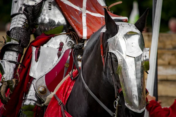 War horse, mounted by a knight in heavy armour, wearing a chanfron. The ...