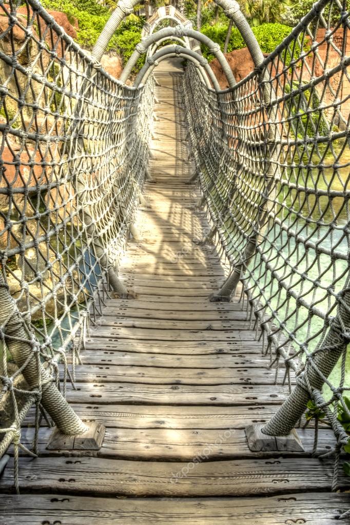 Wood Rope Bridge