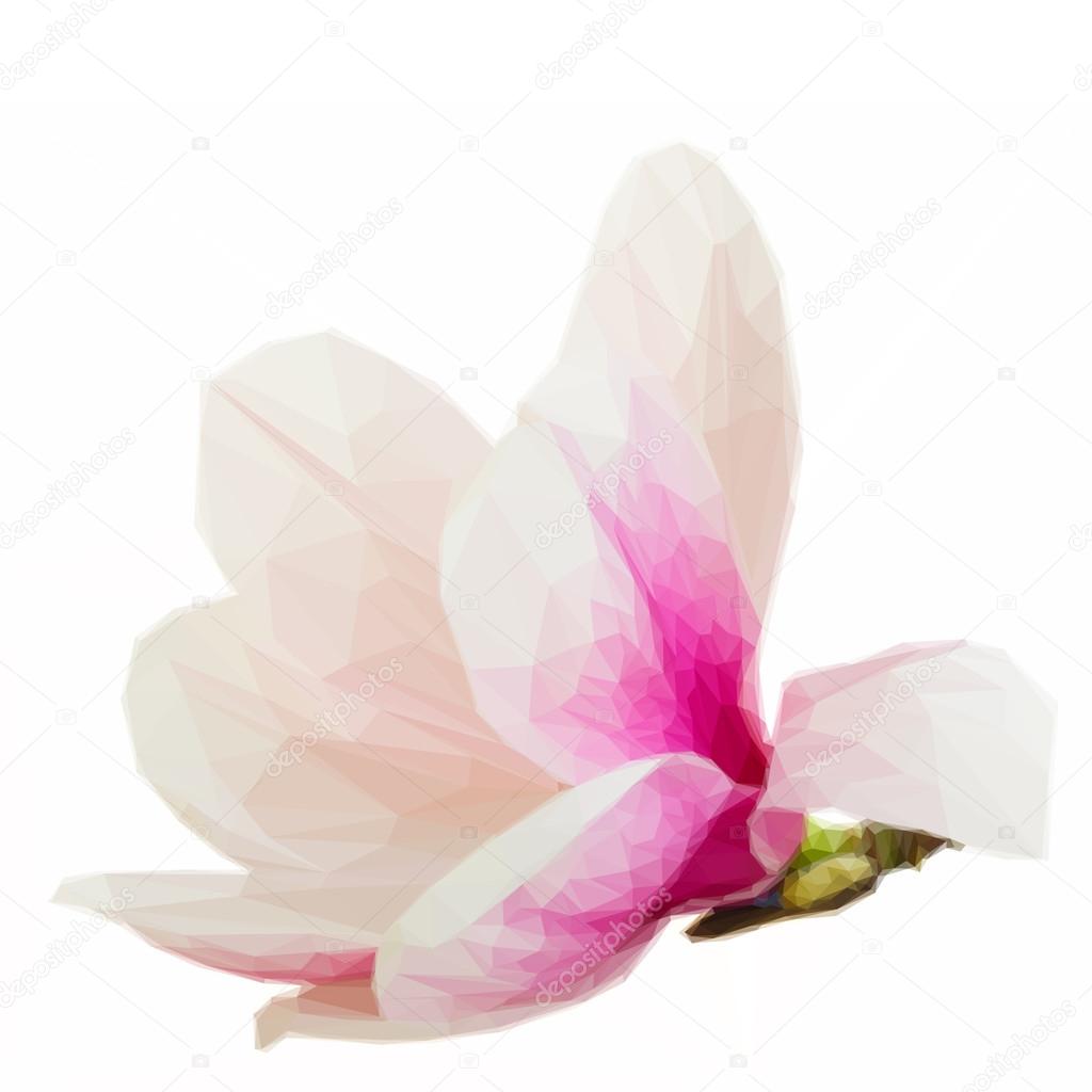 Tiare Flower Drawing | Best Flower Site