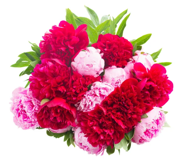 Red peonies Stock Photos, Royalty Free Red peonies Images | Depositphotos