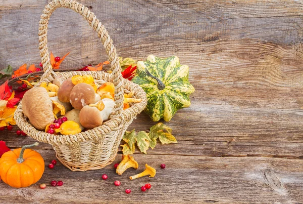 Fall harvest - Stock Image - Everypixel
