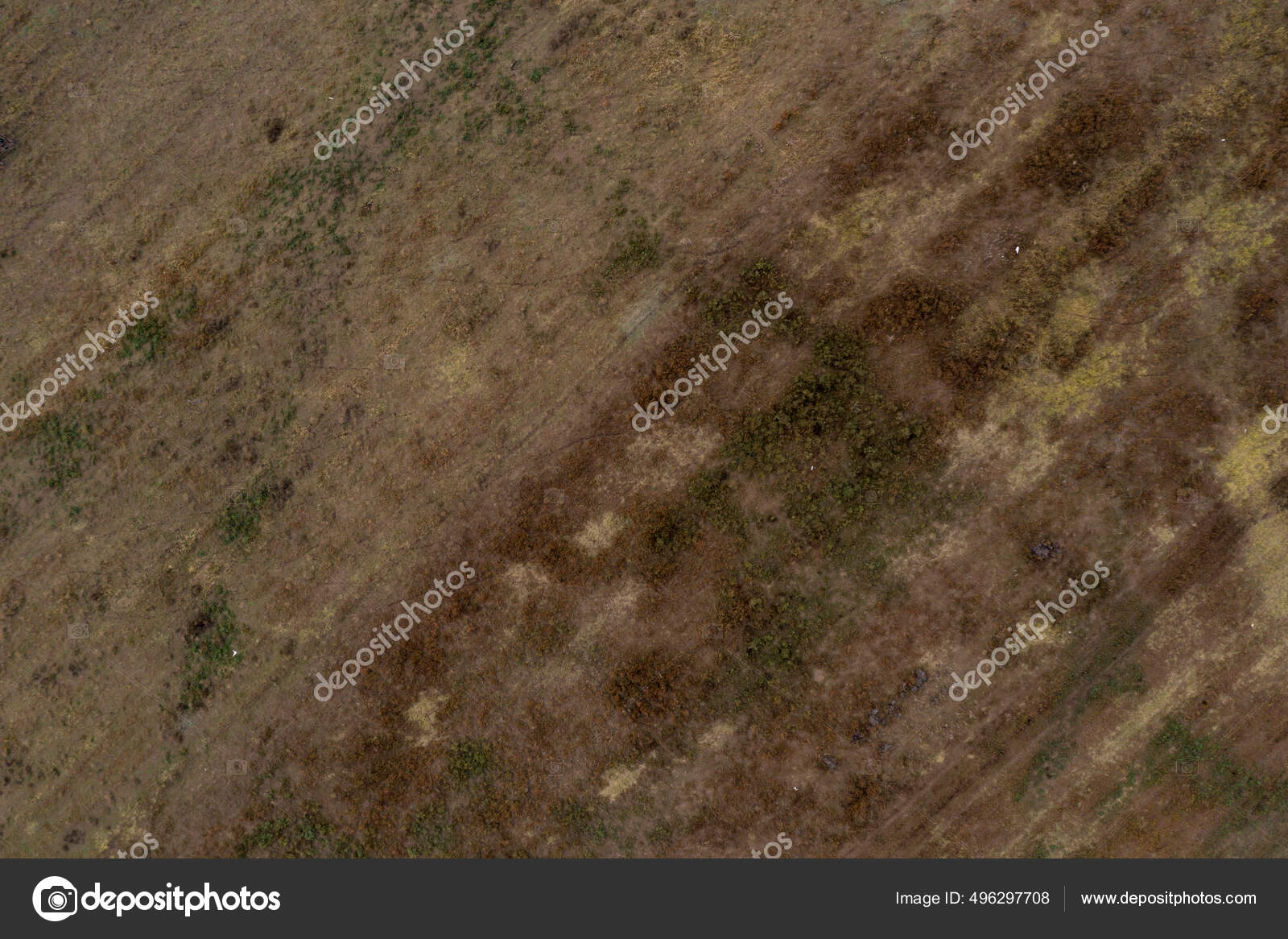 Landscape Top View Texture