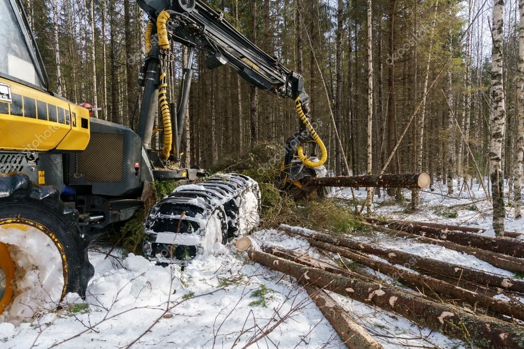 Image of logger cut down trees in winter forest Stock Photo by ©Wisky ...