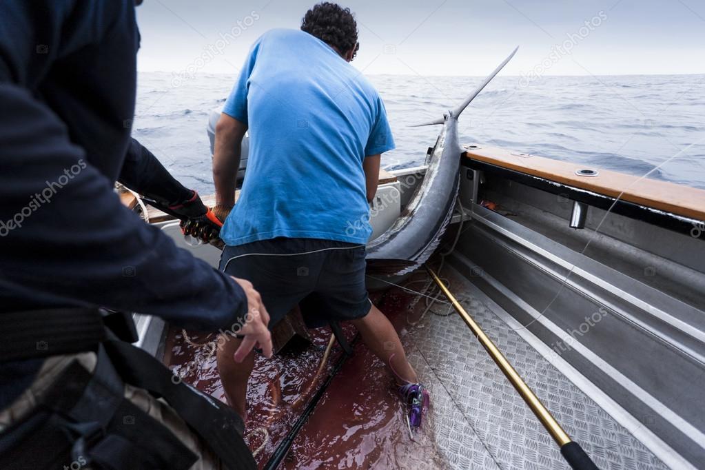 Marlin or sailfish being pulled into a boat — Stock Photo © jrstock1 ...