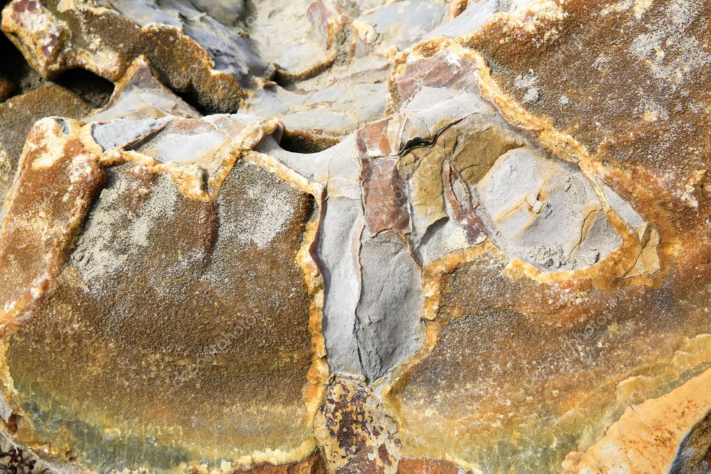 Closeup of broken Moeraki Boulder, New Zealand — Stock Photo ...