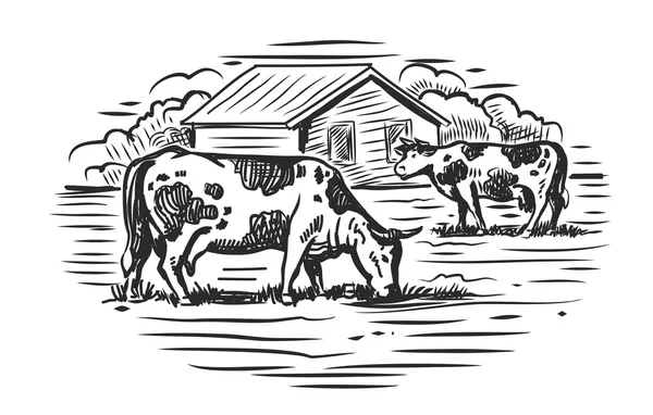 ᐈ Cattle ranch logos stock pictures, Royalty Free ranch backgrounds ...