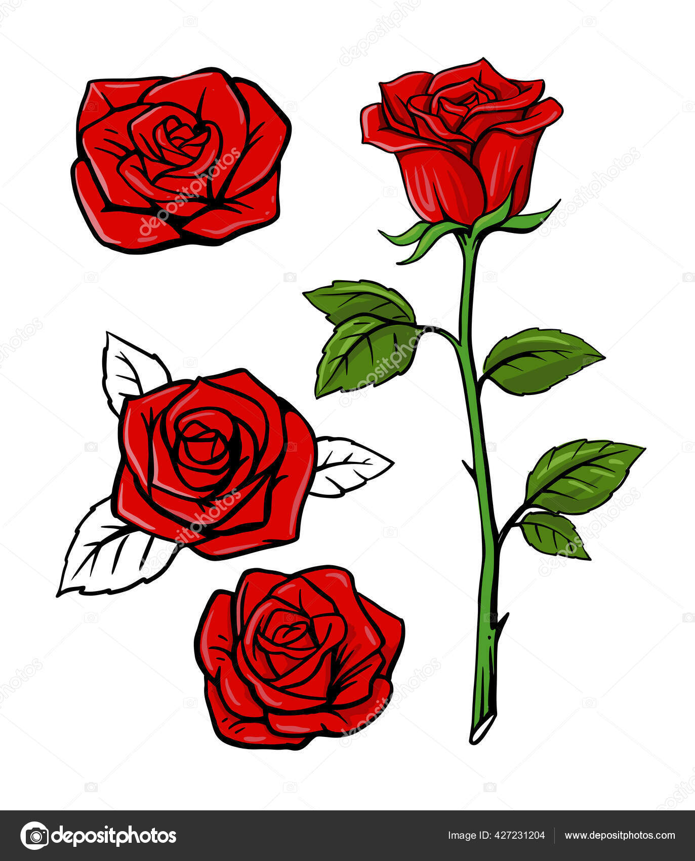 Red rose set on white background with leaf Stock Vector by ©bioraven ...
