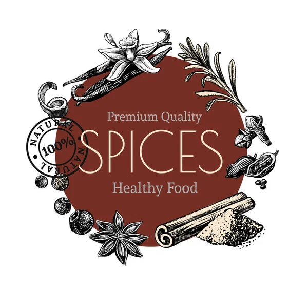 Hand drawn spices Stock Vector Image by ©bioraven #47562681