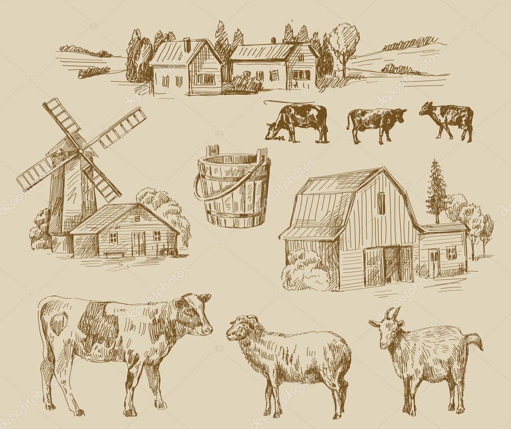 Farm hand drawn Stock Vector Image by ©bioraven #56733481