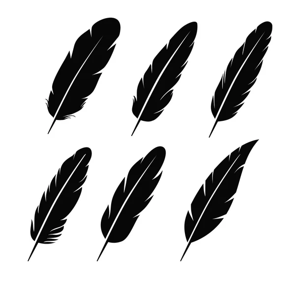 羽毛图库矢量图片、免版税羽毛插图|Depositphotos
