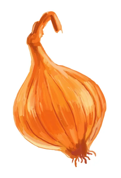 Symbol cebuli Vector Art Stock Images | Depositphotos