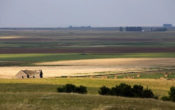 Saskatchewan Farm Landscape