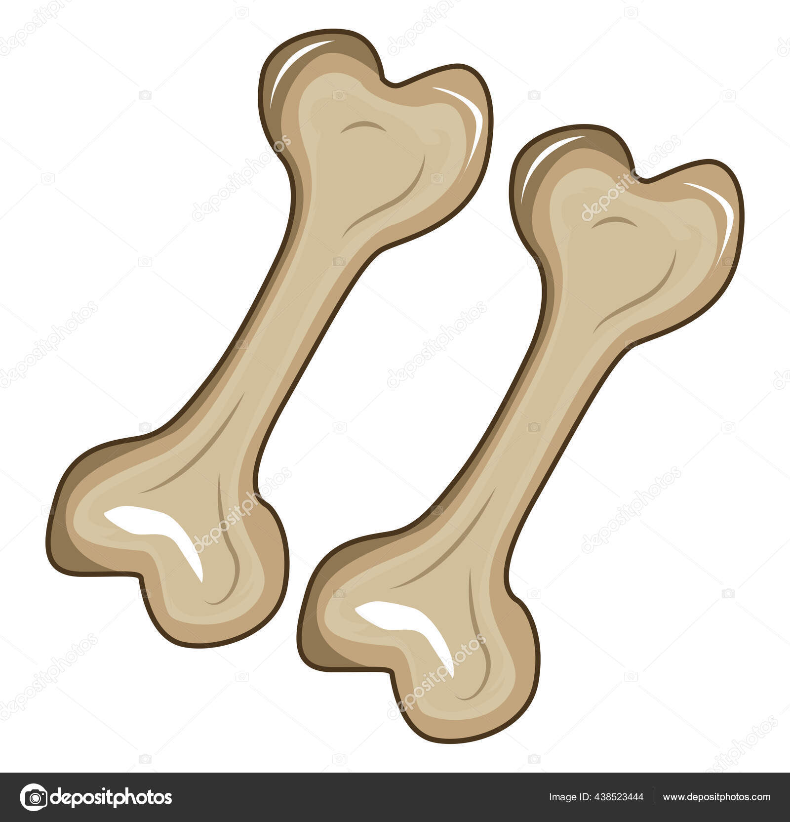 Two Small Bones Illustration Vector White Background Stock Vector by ...