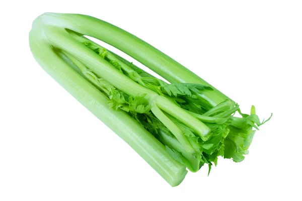 Apio de pollo Stock Photos, Royalty Free Apio de pollo Images ...