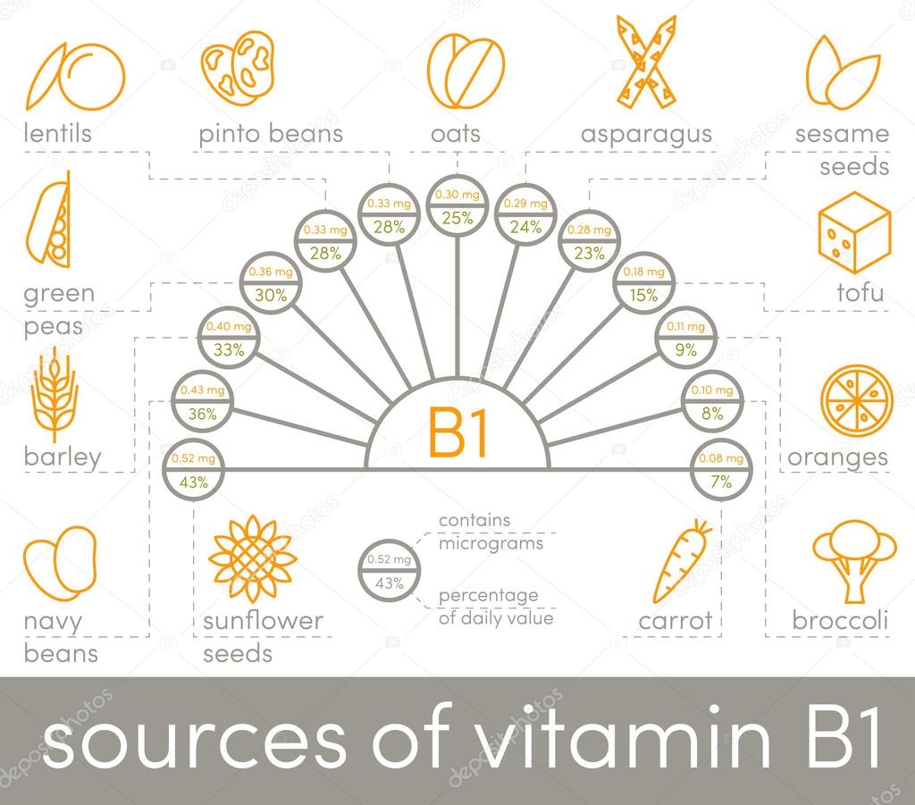 Sources of vitamin B1 icons Stock Vector by ©marina_ua 118638266
