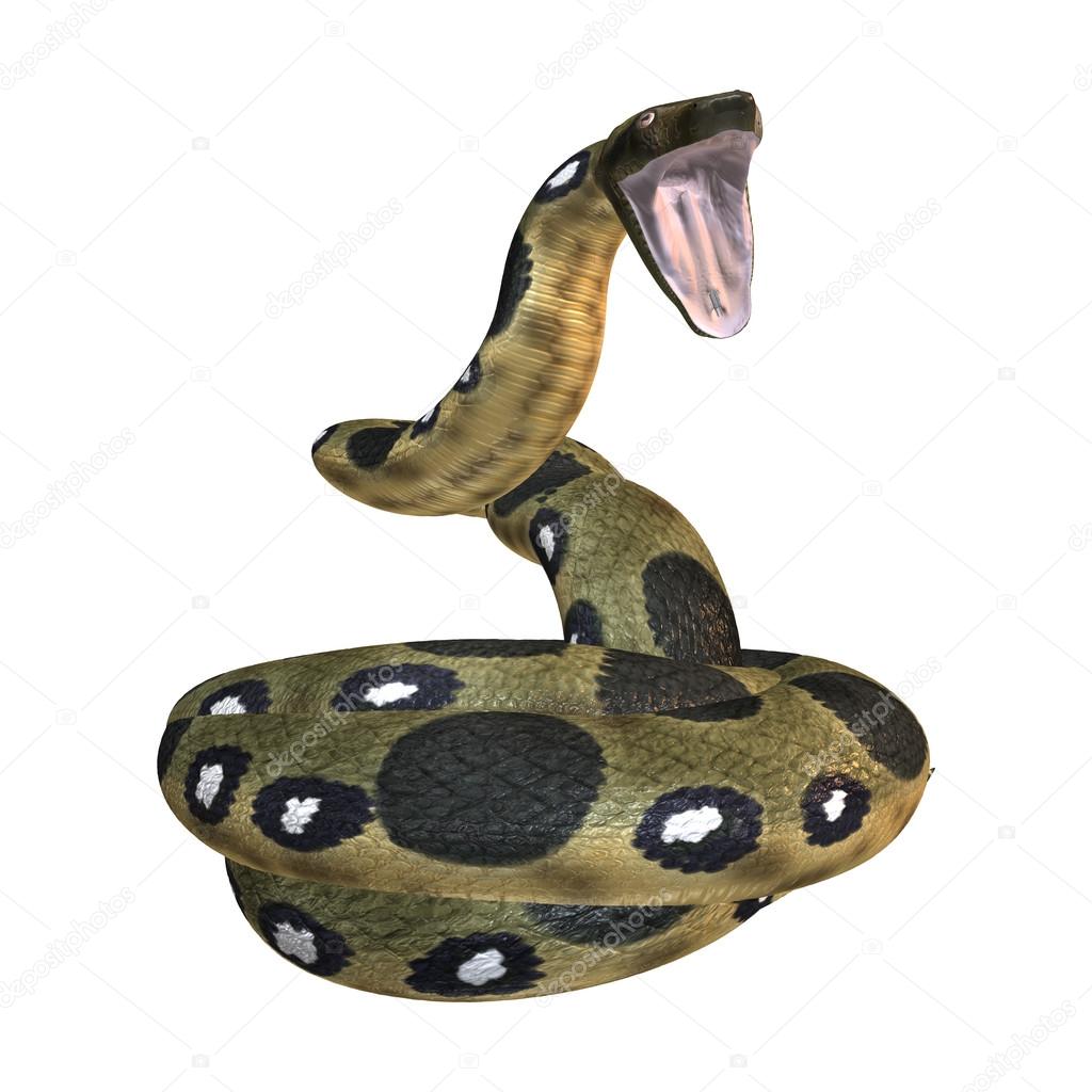 Papel De Parede Hibrido Anaconda Python