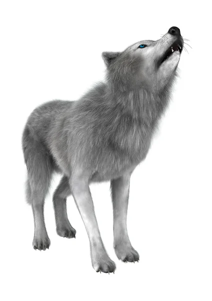 Wolf render Stock Photos, Royalty Free Wolf render Images | Depositphotos