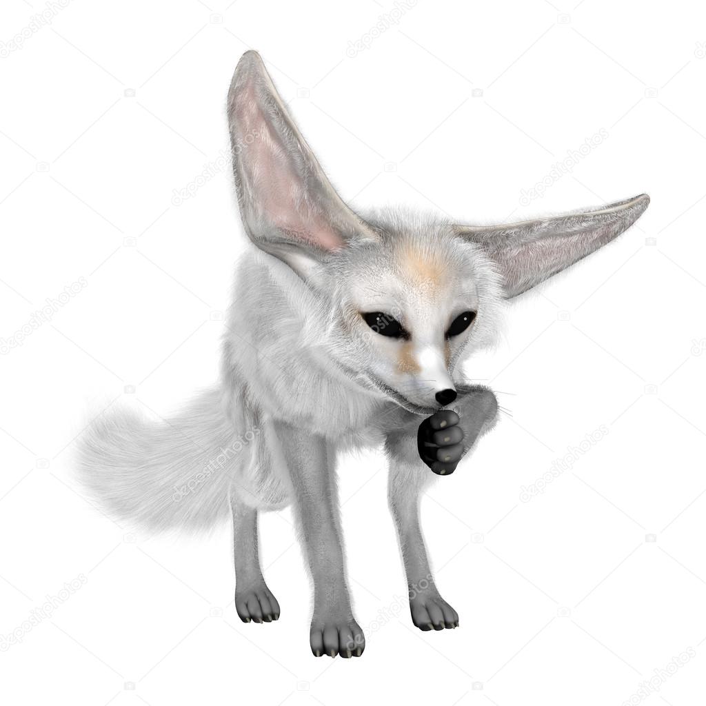 Representación 3D Fennec Fox en blanco — Foto de stock © PhotosVac ...