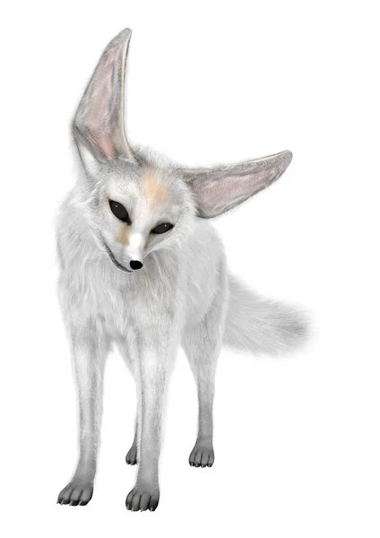 3D Rendering Fennec Fox on White Stock Photo by ©PhotosVac 122605414