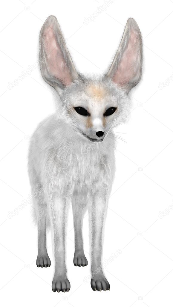 3D Rendering Fennec Fox on White Stock Photo by ©PhotosVac 122605414