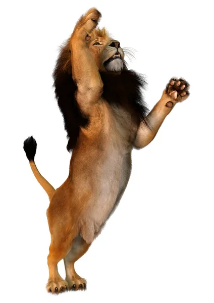 Lion Jumping At You