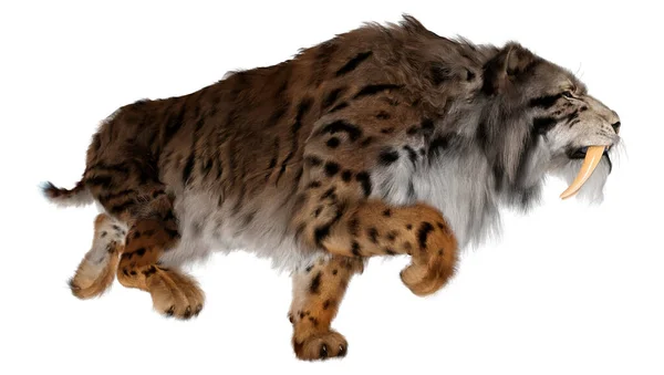 Saber tooth cat Stock Photos, Royalty Free Saber tooth cat Images ...