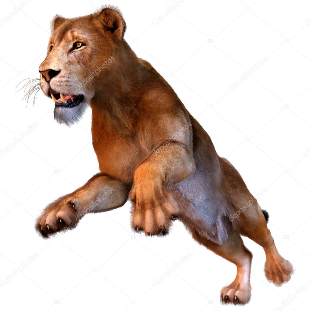 Representación 3D de una leona hembra aislada sobre fondo blanco 2023