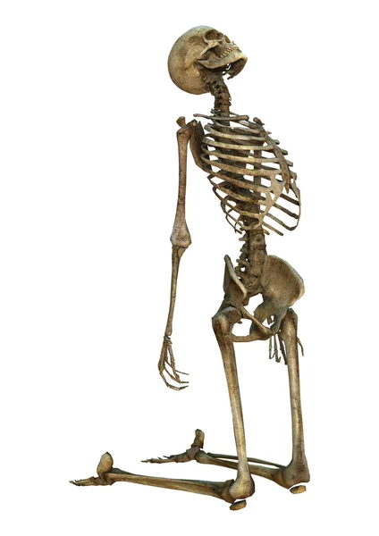 Crouching skeleton Stock Photo by ©homeworks255 10197963