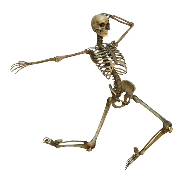 Skeleton dancing Stock Photos, Royalty Free Skeleton dancing Images ...