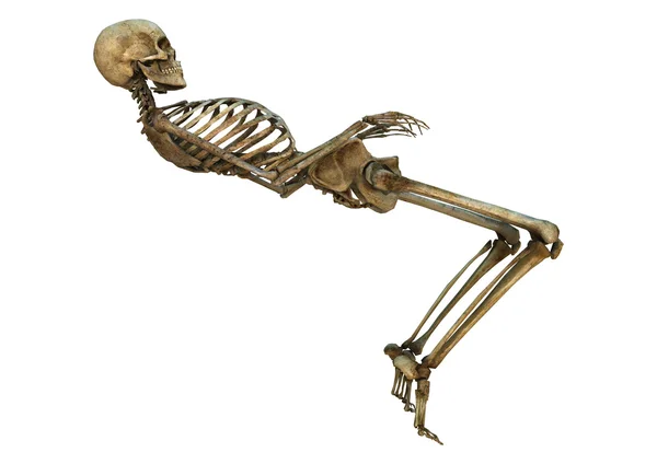 Scary skeleton Stock Photos, Royalty Free Scary skeleton Images ...