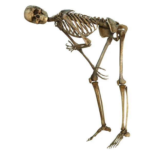 Crouching skeleton — Stock Photo © homeworks255 #10197963