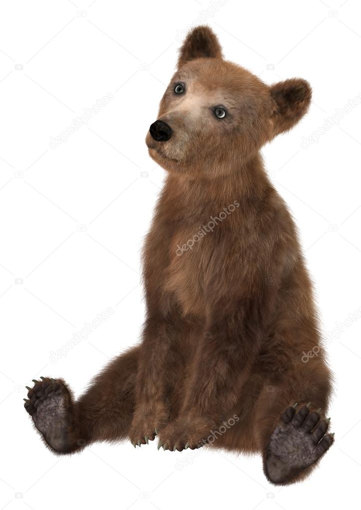 Little Brown Bear Stock Photo by ©PhotosVac 66532053