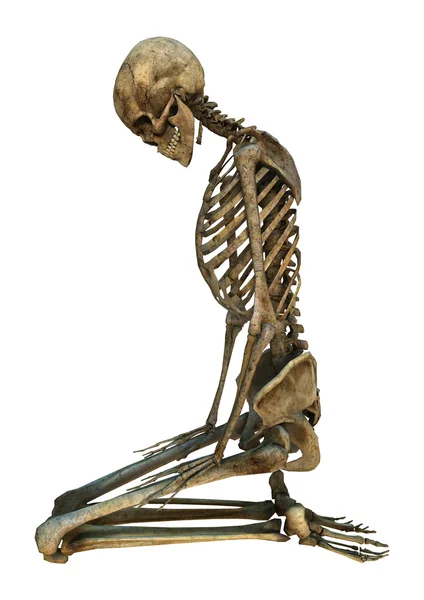 Crouching skeleton — Stock Photo © homeworks255 #10197963