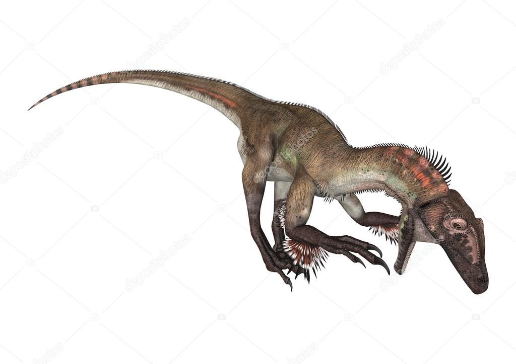 Dinosaur Utahraptor Stock Photo by ©PhotosVac 78630232