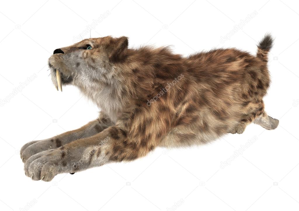 Big Cat Smilodon Stock Photo by ©PhotosVac 78705382