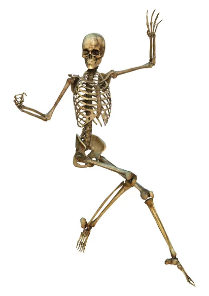 Crouching skeleton — Stock Photo © homeworks255 #10197963