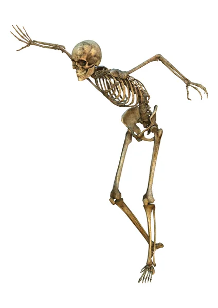 Crouching skeleton — Stock Photo © homeworks255 #10197963